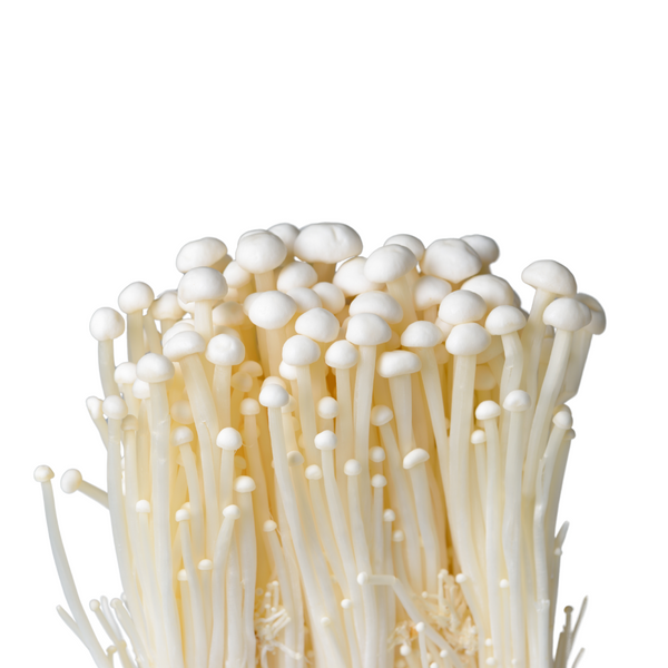 Mushrooms Enoki PUNNET – King Cole Direct Fruit Supply